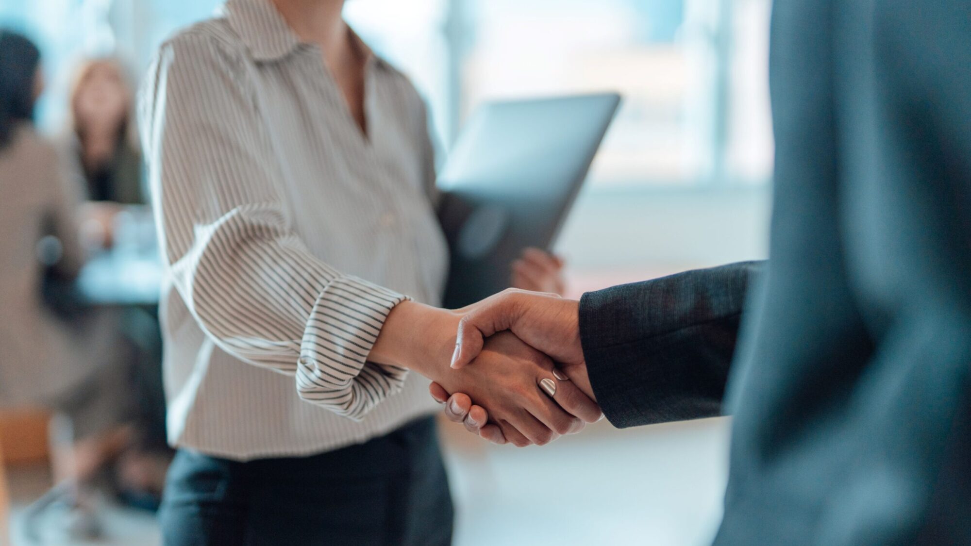 Consulting - SAUERESSIG Group